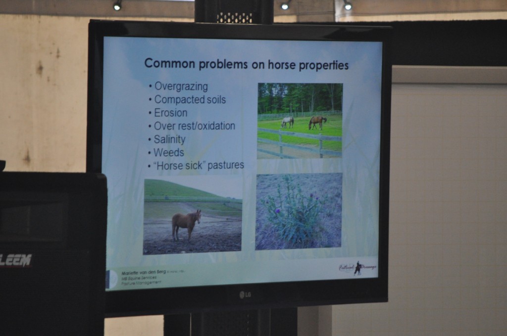 Category » Equine Science « @ MB Equine Services