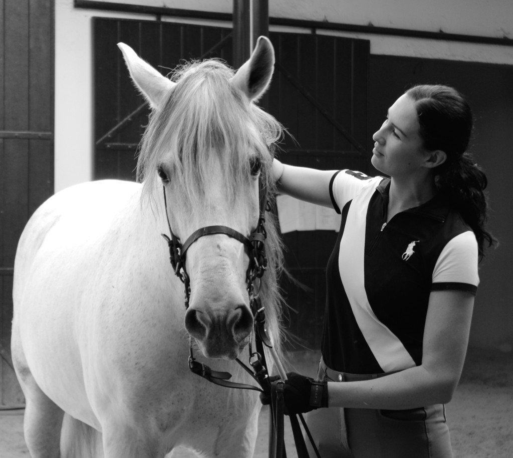 Dressage Rider @ MB Equine Services