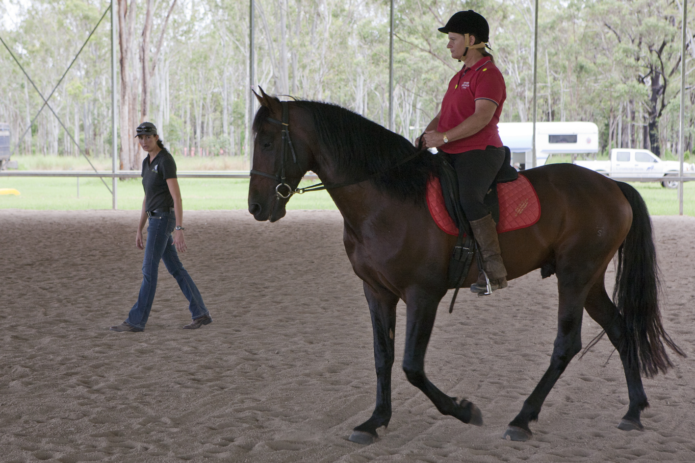 Category » Dressage Coaching & Training « @ MB Equine Services