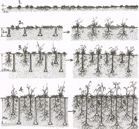 Compacted soils and Keyline Design (part 2) @ MB Equine Services