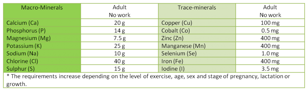 Dietary Minerals for Horses @ MB Equine Services