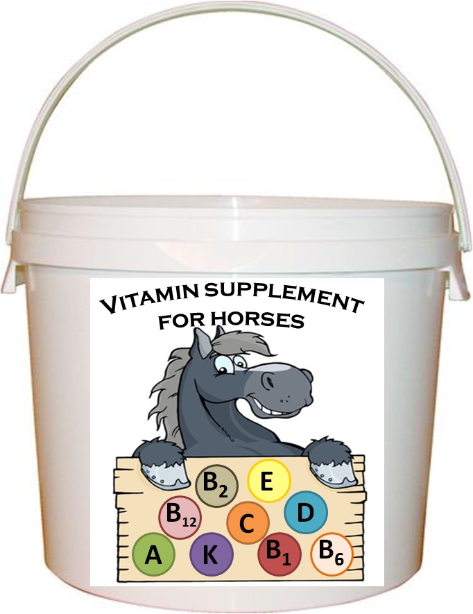 Vitamins for Horses @ MB Equine Services