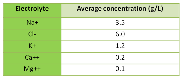 Sweating & Electrolyte Losses @ MB Equine Services