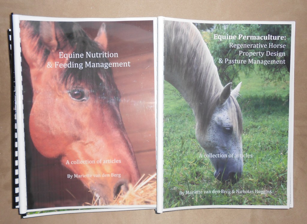 Equitana & Workshop A4 Booklets @ MB Equine Services