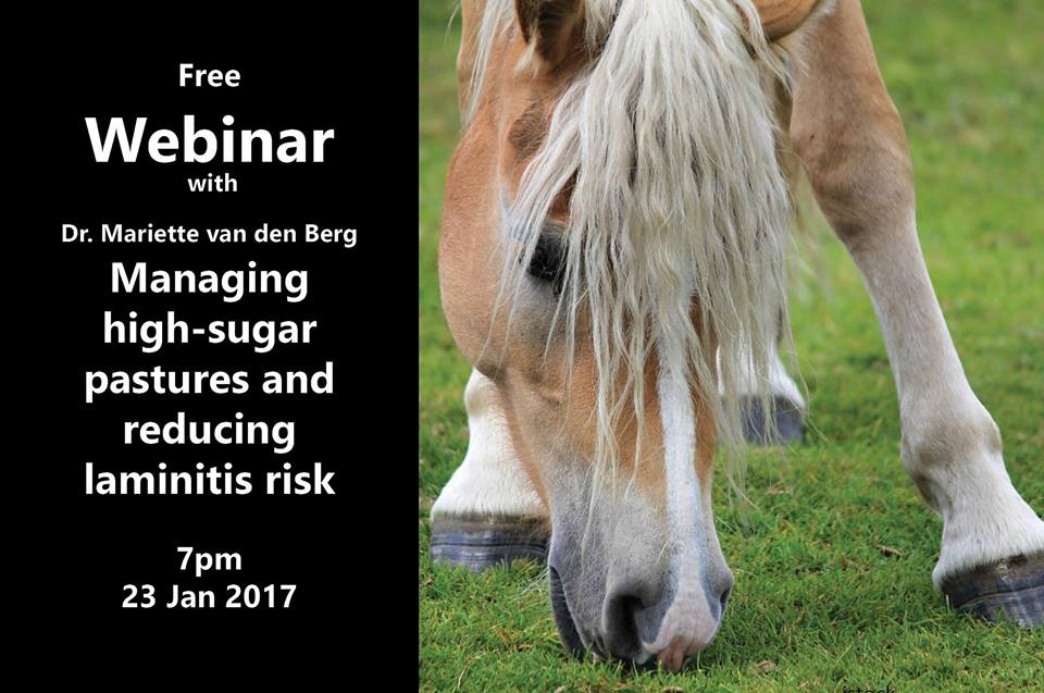 Webinar: Managing high-sugar pastures and reducing risk of laminitis ...