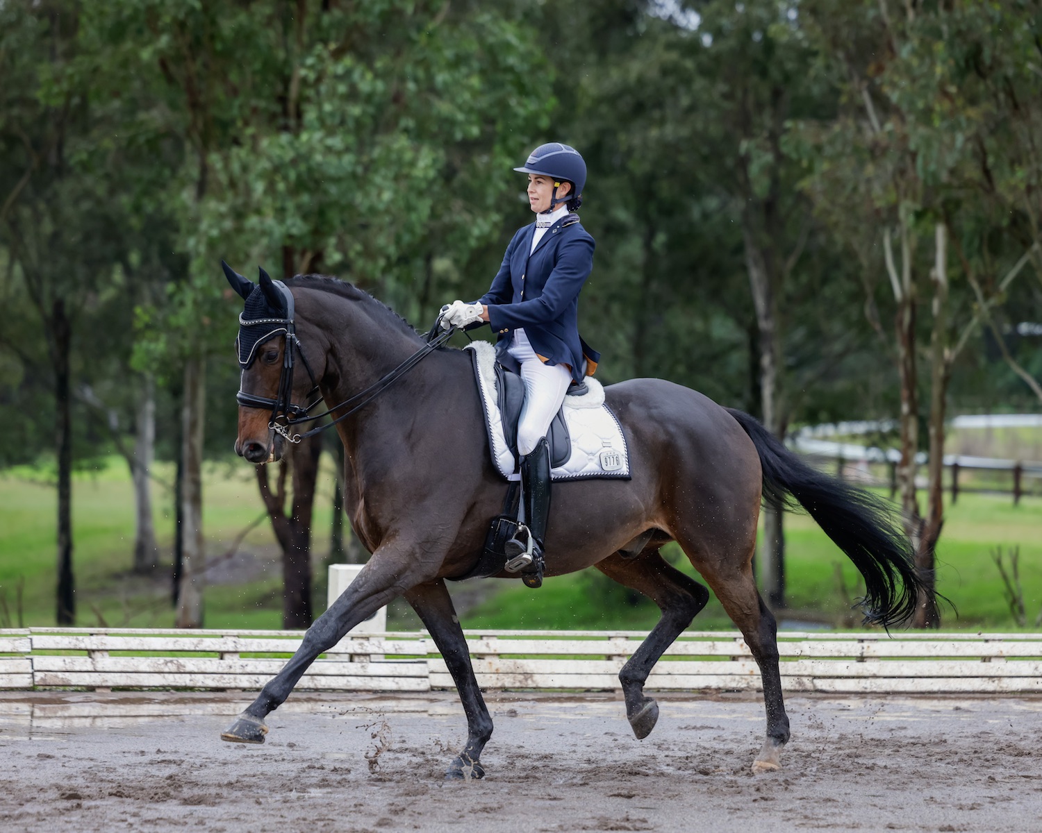 Dressage Rider @ MB Equine Services